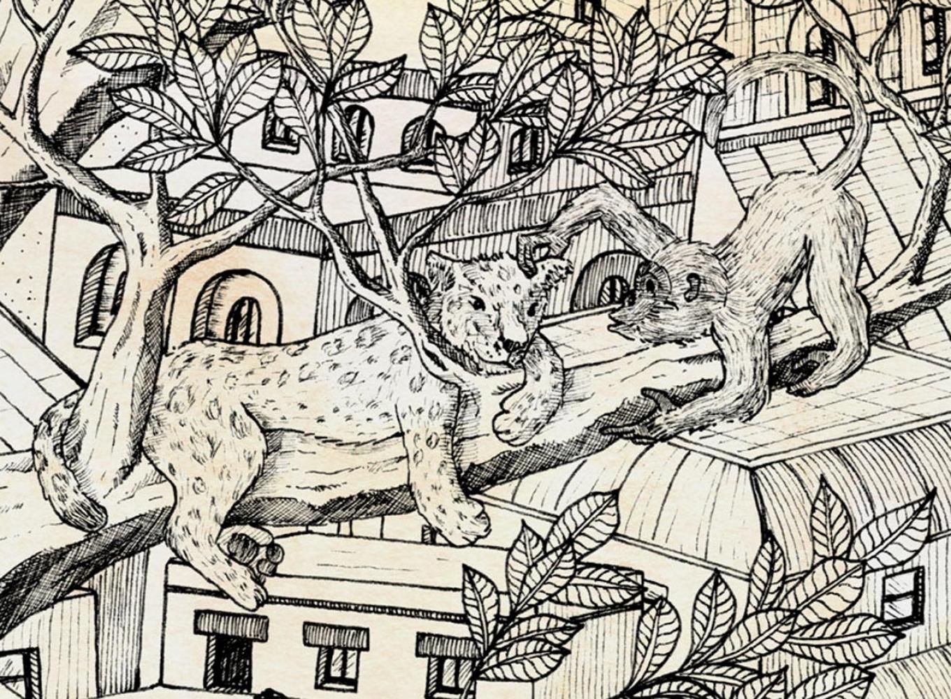 Offers | BABEL | Belleville